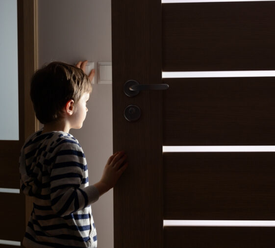 ASG – Ahram security group